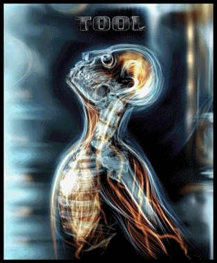 Tool gifs : r/ToolBand